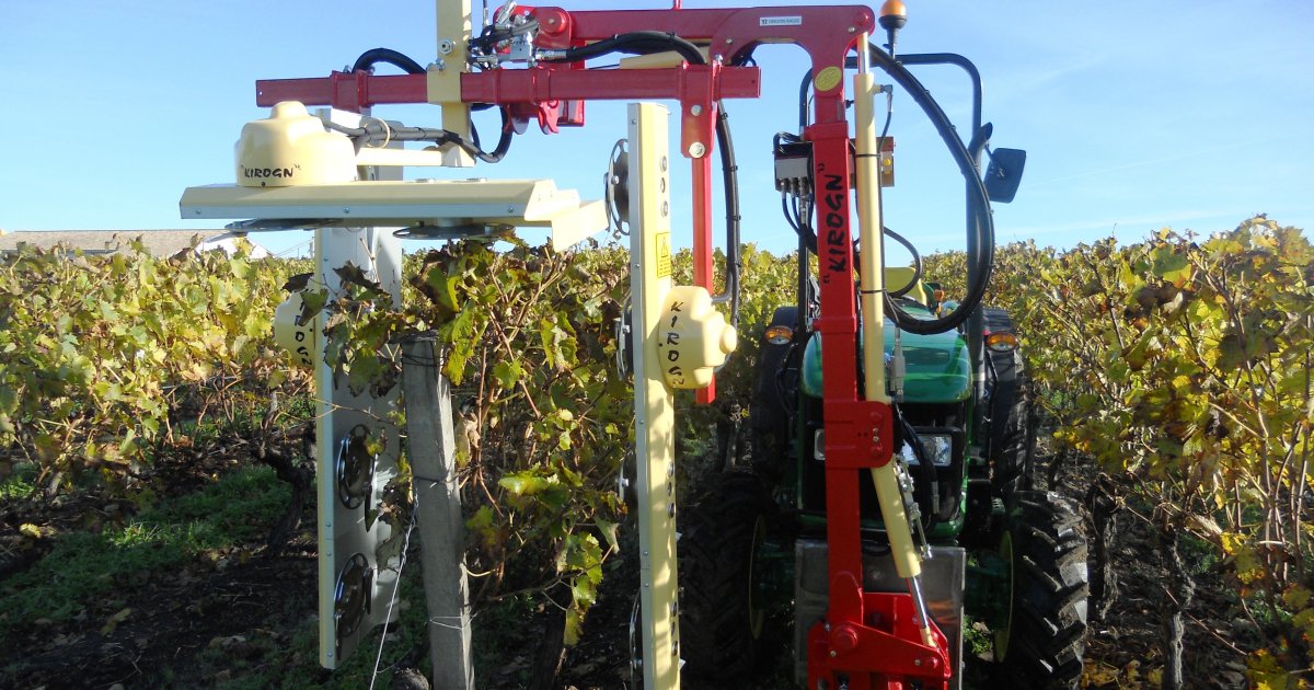 Kirogn rogneuse hat - Vine trimmer - Viticulture - Wine-making equipment
