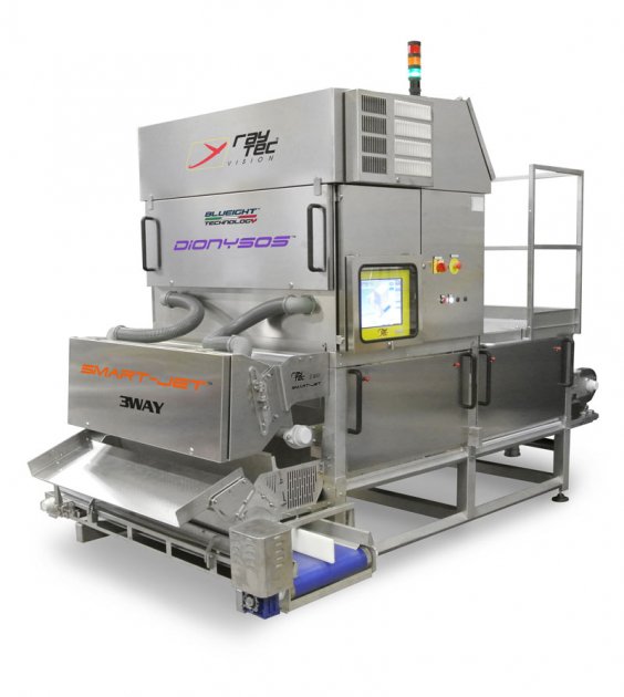 Raytec vision dionysos - Optical sorter - Grape harvest processing ...